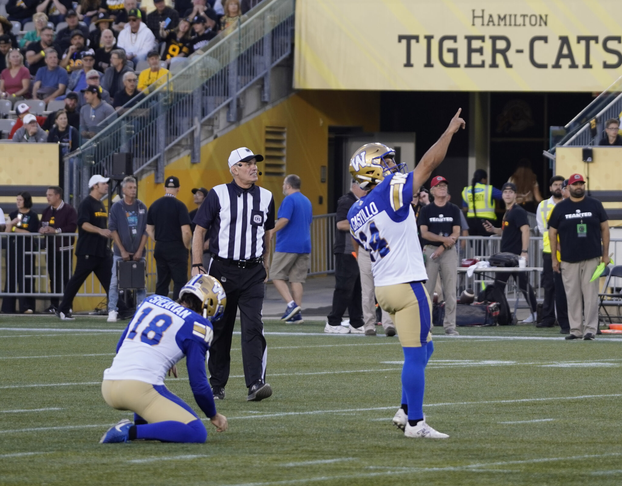 Opinion: CFL Leadership Moved the Wrong Goal Posts… How I Would ...