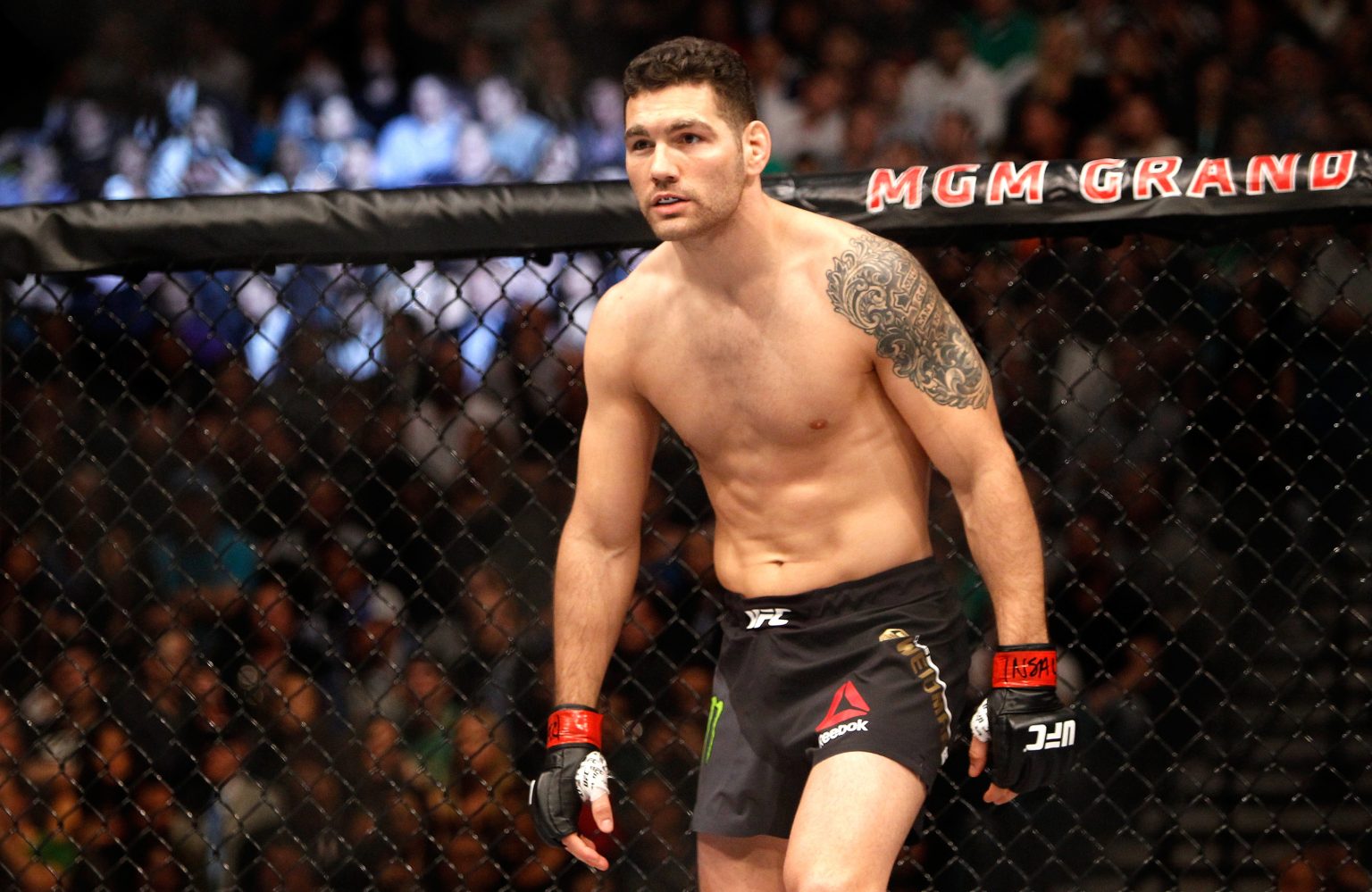 UFC Legacies: Chris Weidman