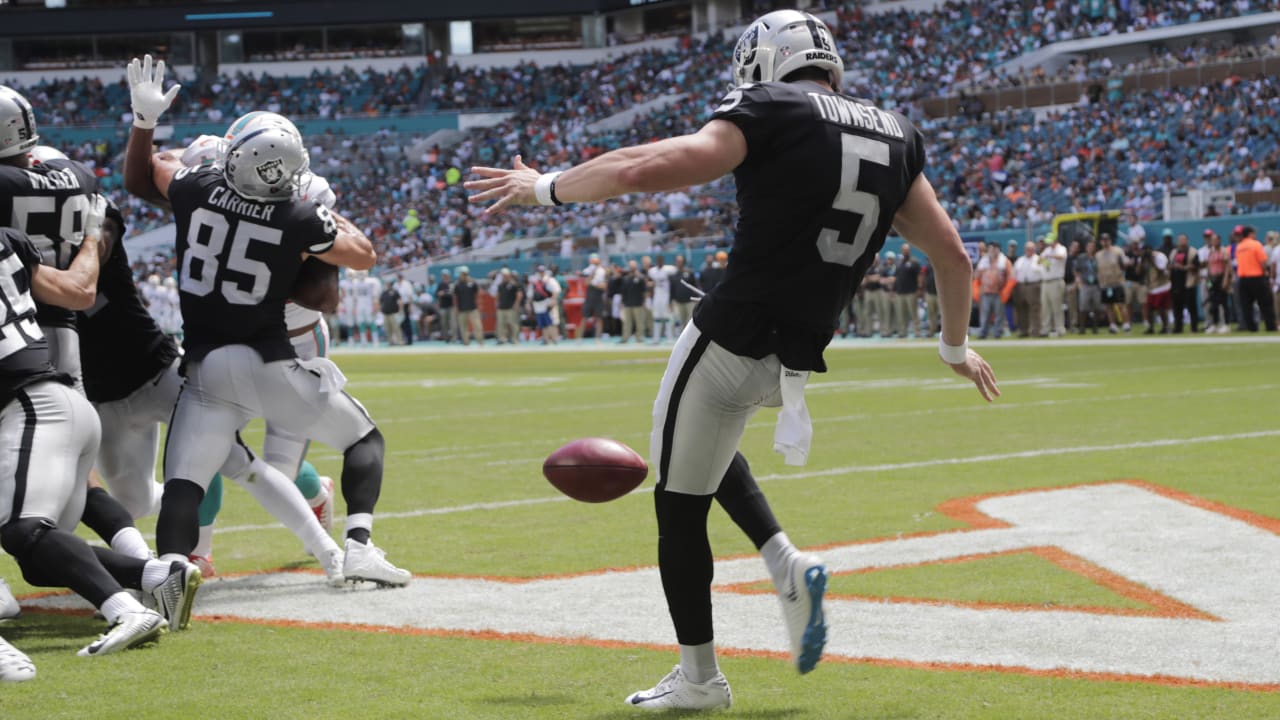 XFL Draft 2021: Former NFL Punters Who The XFL Should Target