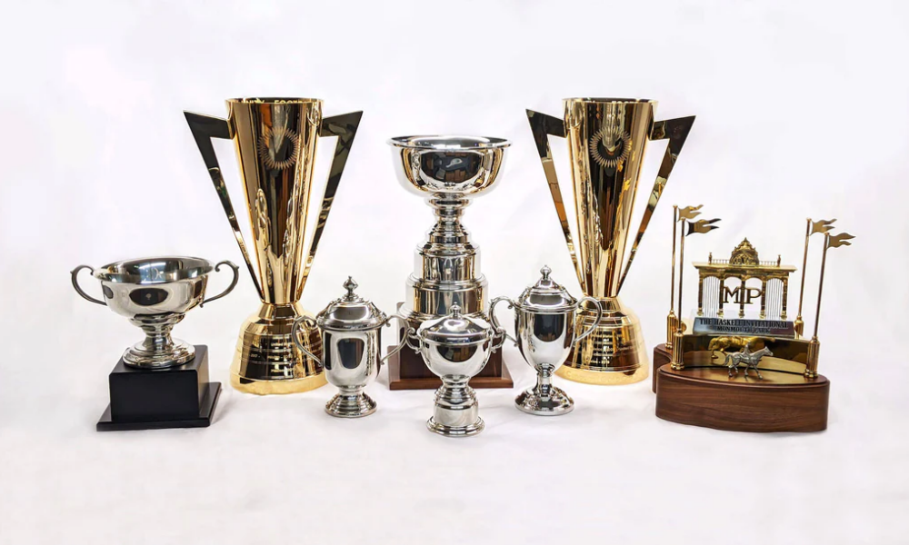 6 Eye-Catching Sports Trophies That Will Stand Out